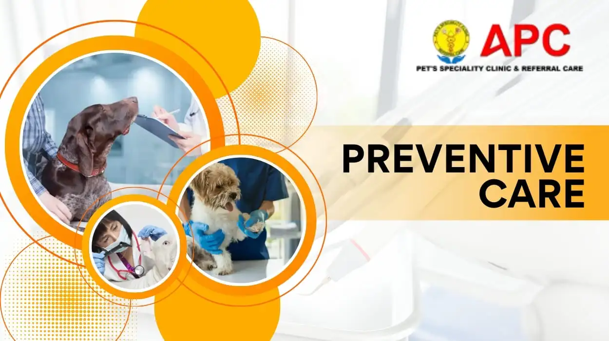 Preventive pet healthcare | Preventative care for pets