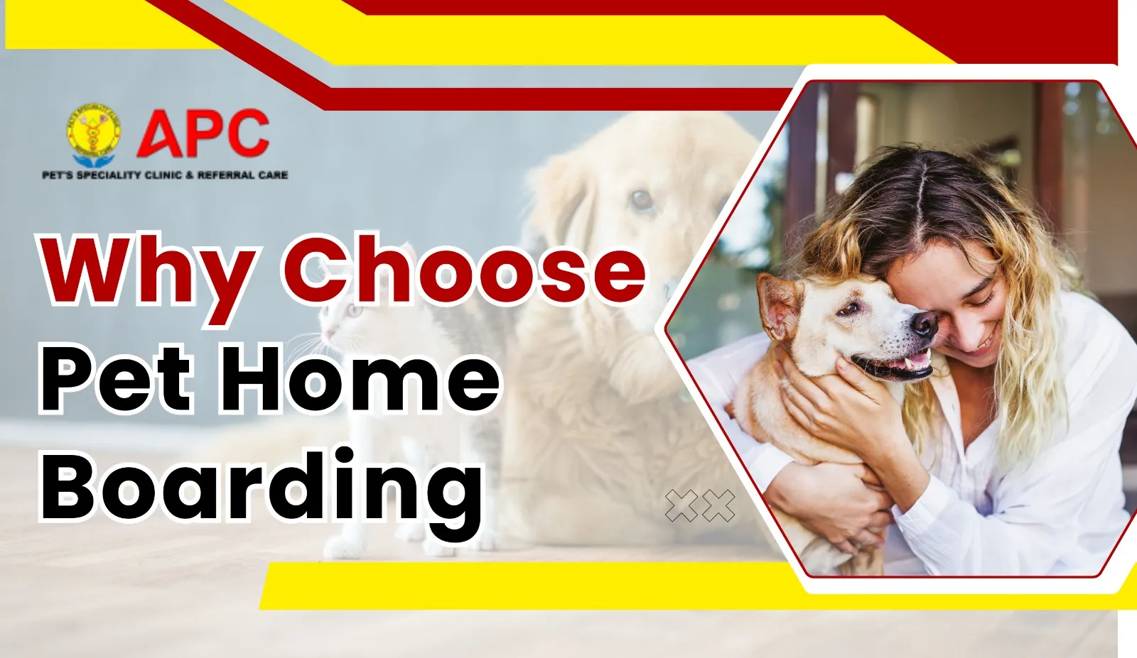 Why Choose Pet Home Boarding: A Comfortable and Safe Option for Your ...