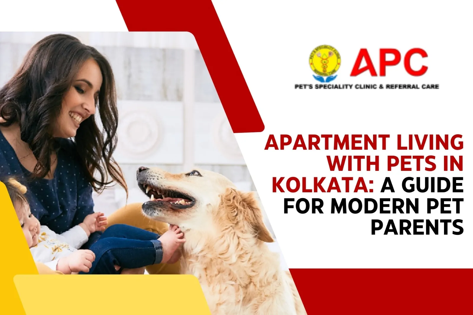 Apartment Living with Pets in Kolkata: 6 Tips for Modern Pet Parents
